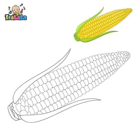 Овощи фрукты раскраски овощи фрукты Интересный контент в группе Копилка педагога