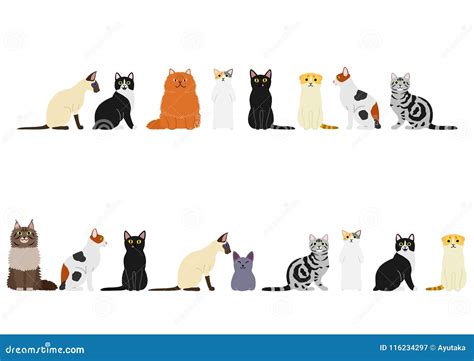 Cute Cat Border