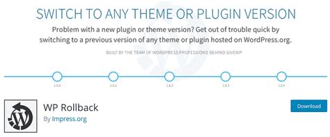 Wordpress Automatic Plugin And Theme Updates Should You Use Them A Bright Clear Web