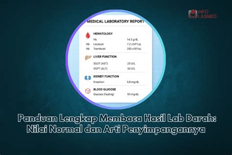 Panduan Lengkap Membaca Hasil Lab Darah Nilai Normal Dan Arti