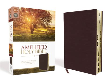 Amplified Holy Bible Bonded Leather Burgundy Thumb Indexed