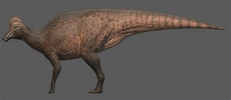 Lambeosaurus Size Comparison Lambeosaurus Magnicristatus
