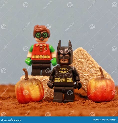 View Of Batman And Robin Lego Figurine Standing By The Hays And