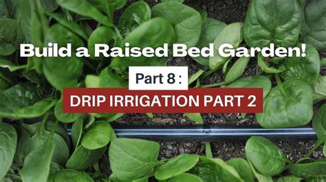 Building A Raised Bed Vegetable Garden Drip Irrigation Part 2 Youtube
