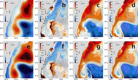Analysis Of Mesoscale Oceanographic Circulation In The East Australian