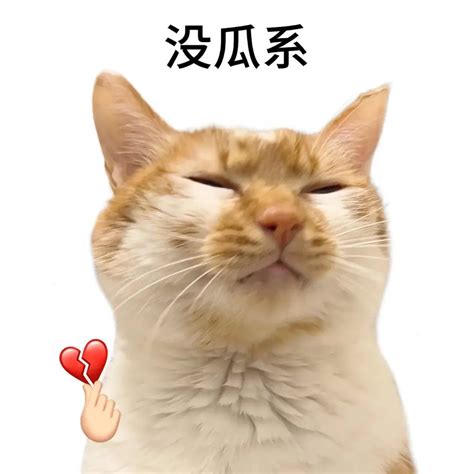 猫咪一脸无所谓表情，配文 没瓜系”，还有破碎爱心，超可爱 表情包丨螂来了表情包图片动图 求表情网斗图从此不求人