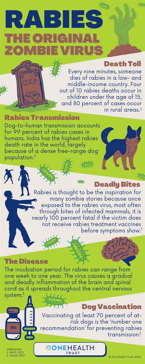 Rabies In Humans Zombies