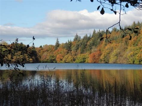 Turus Mara Seabird And Wildlife Cruise Tours Visit Mull And Iona
