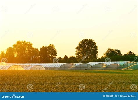 Agricultural Ecological Greenhouses Hothouse Glasshouse For Growing