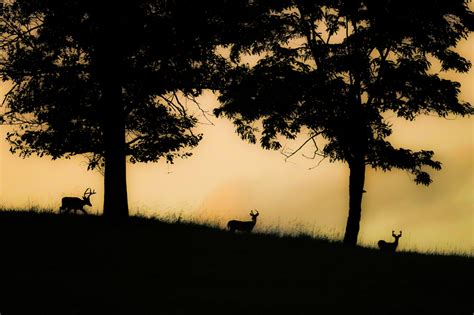 Help Wanted Interstate Truck And Auto Service Facebook