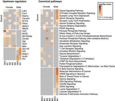 Figures And Data In Mouse Brain Transcriptome Responses To Inhaled Nanoparticulate Matter