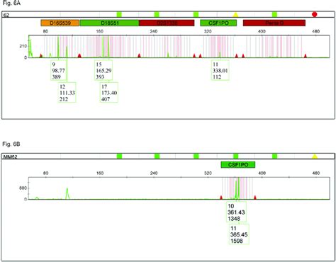 Electropherogram For Cadaveric Sample 62 Amplified With Powerplex ® Download Scientific