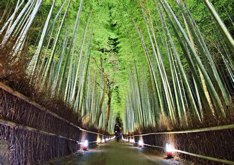 26 Best Things To Do In Kyoto At Night In 2026 Amazing Night Out