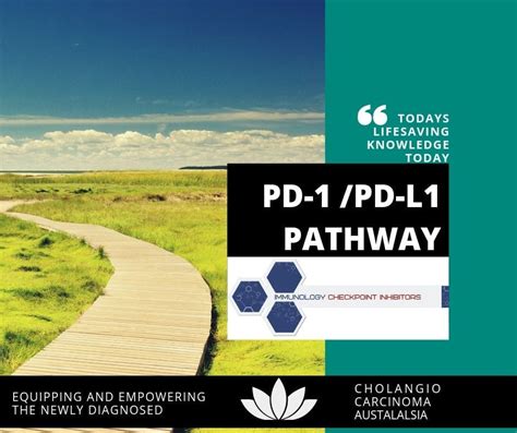 Pd 1 Pd L1 Is The Checkpoint Pathway Cholangiocarcinoma New Zealand
