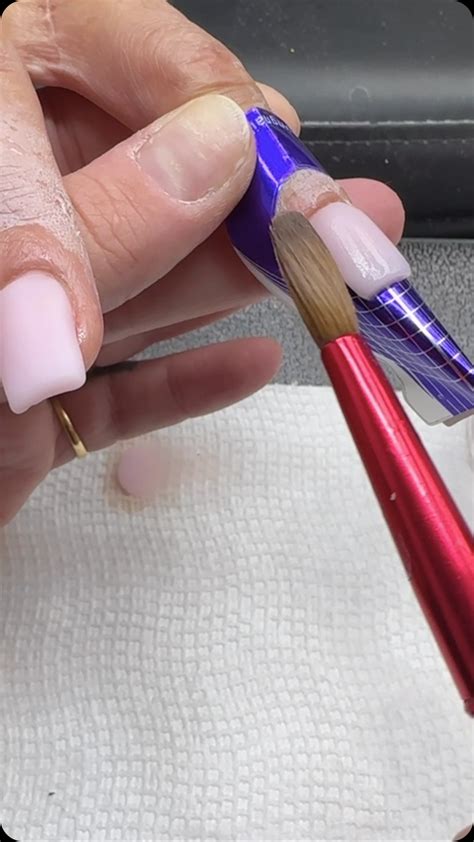 Zanah Nesheiwat 237 Am ♥️🤍🖤💚 Instagram