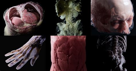 3d Ct Image Visualization Using Blender Pattern Recognition Lab