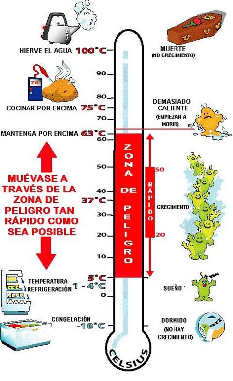Termómetro De Alimentos Higiene Y Seguridad Alimentaria Seguridad En