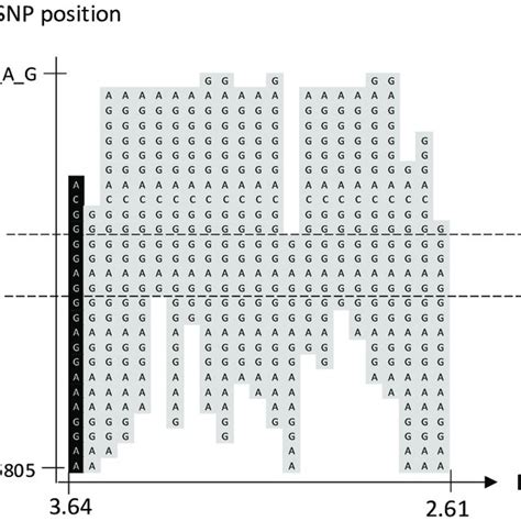 Chromosome 15 One Significant And 22 Borderline Significant Haplotypes