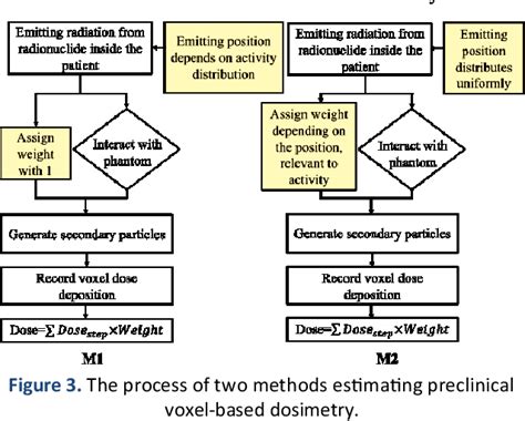 Figure 3 From Voxel Based Dose Calculation Of Radionuclide Imaging And
