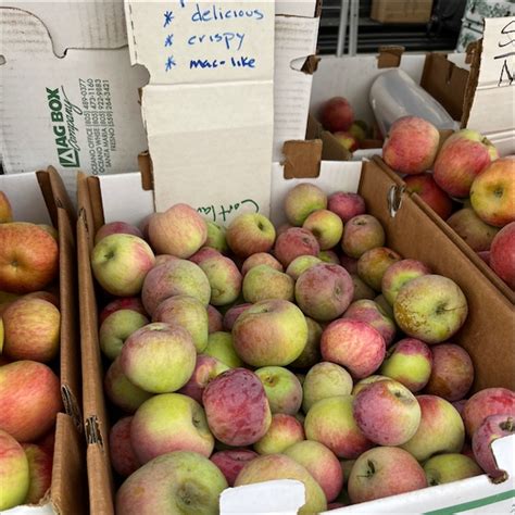 Macoun Apples Information Recipes And Facts