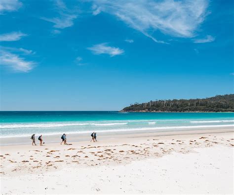 Maria Island Tasmania How To Plan A Visit Homes To Love
