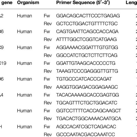 Mrna Expression Of Cyp1a2 2b6 2c9 2c19 2d6 And 3a4 In Hepg2 A