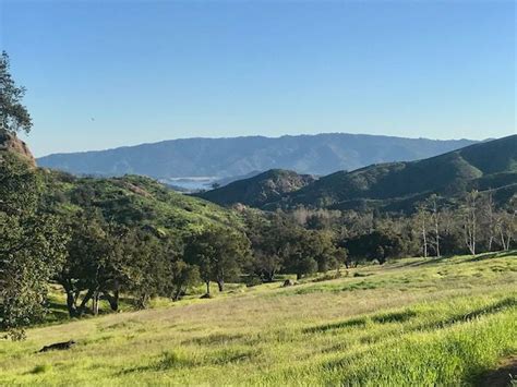Ojai Naturalist To Lead Rare Herb Walk At Taft Gardens And Nature