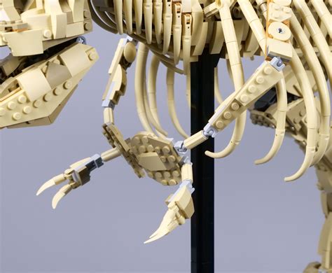 Lego Jurassic World 76968 Dinosaur Fossils Tyrannosaurus Rex Review Brickset