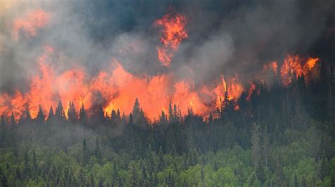 Mapping Wildfire Risk In British Columbia
