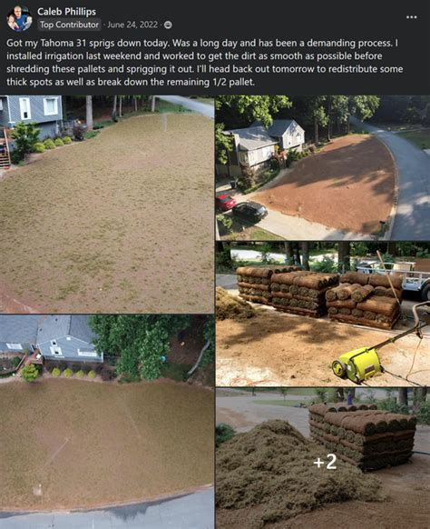 Seeding Bermuda Grass Is Only 50 Cheaper Than Sprigging Tahoma 31