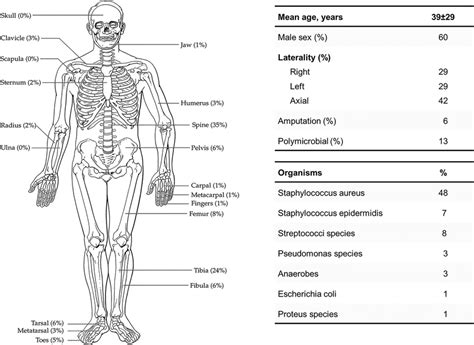 B Hematogenous Osteomyelitis Download Scientific Diagram