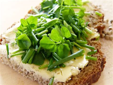 Butter Your Bread Meaning Sexually Spreading Intimate Pleasure OfLikeMinds Com