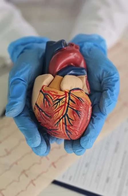 Understanding Hypercoagulability The Top 12 Markers To Know