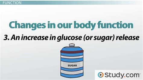 Norepinephrine Definition Formula And Effects Lesson