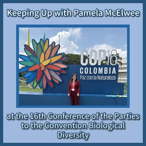 Rutgers Climate And Energy Institute On Linkedin Rcei Affiliate Dr Pamela Mcelwee Of The