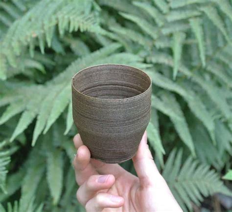 What Is Biodegradation Types And Examples Jotscroll