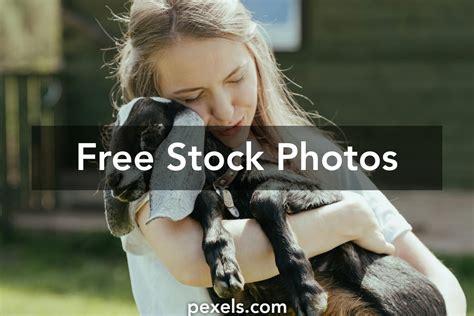 Anime Girl Drowing Photos Download The Best Free Anime Girl Drowing