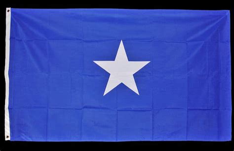 Bonnie Blue Flag A Depiction Of The Bonnie Blue Flag The Unofficial