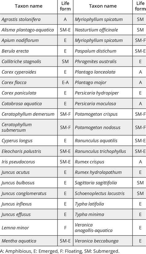 The List Of Identified Macrophyte Plant Species Observed At The