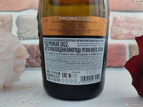 Вино игристое белое сухое Martiamo "Prosecco Treviso Extra Dry"" - «🍾 ...