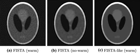 Reconstructions Provided By Fista Warm Fista No Warm Fista Like