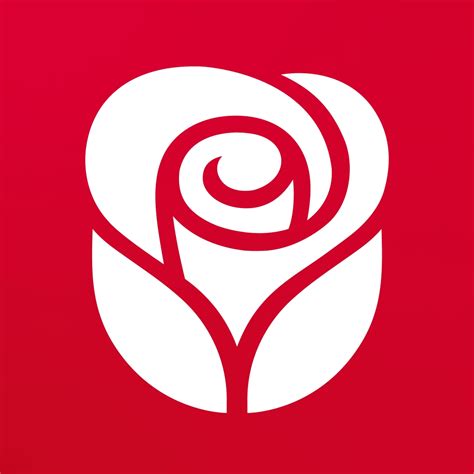 Todays Peanuts Holiday Comic Is Here 🎄 Every Animated Strip In The Peanuts Digital Advent