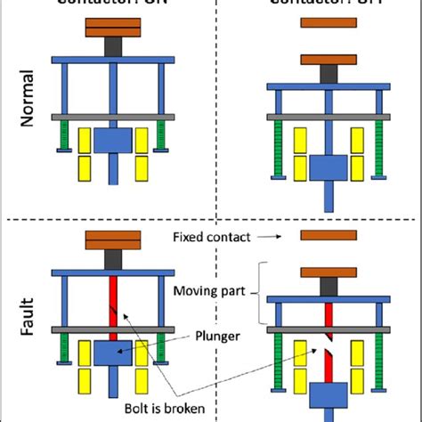 The Structure Of Normal And Damaged Contactor Download Scientific