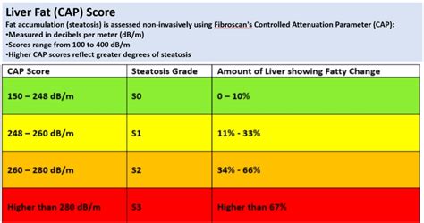 Essentials Of Fibroscan Interpretation By Physicians Cme India