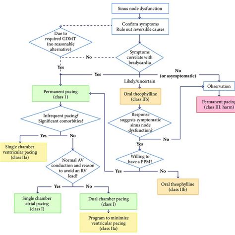 Flow Chart With American Society Recommendations For Pacemaker Download Scientific Diagram