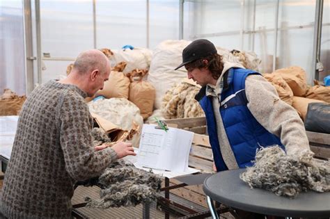Wool Classification In Rättvik With The Swedish Wool Initiative