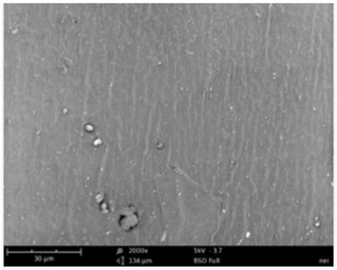 内皮基质化人造血管的制备方法
