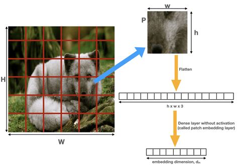 GitHub Ryukijano Pytorch Vision Transformer Vision Transformer Implemented From Scratch In