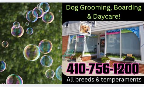 Waynesboro Veterinary Clinic - Today is National Pet Fire Safety Day ...