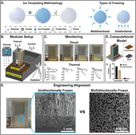 Imparting Multi‐scalar Architectural Control Into Silk Materials Using